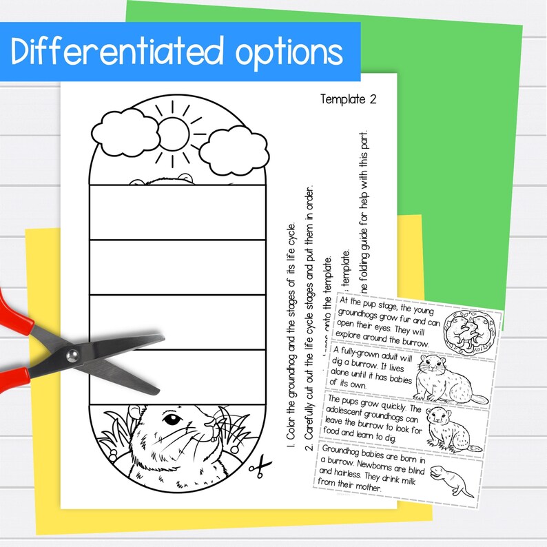 Groundhog Life Cycle Foldable Sequencing Activity Cut and Paste ...