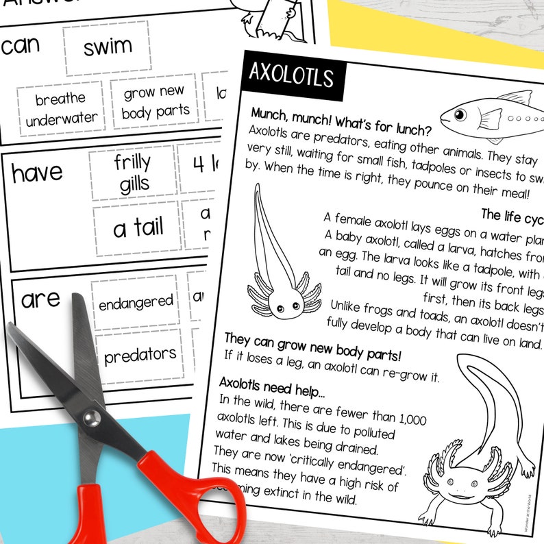 Life Cycle of an Axolotl Cut and Paste Foldout Science Activity and ...