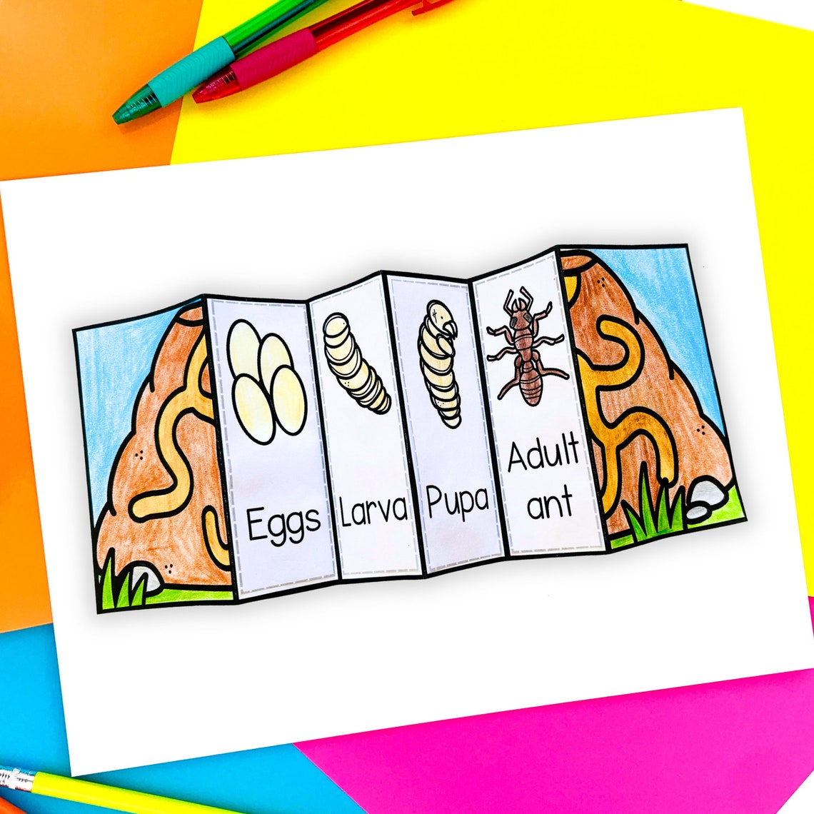 Life Cycle of an Ant Foldable Cut and Paste Science Activity and ...
