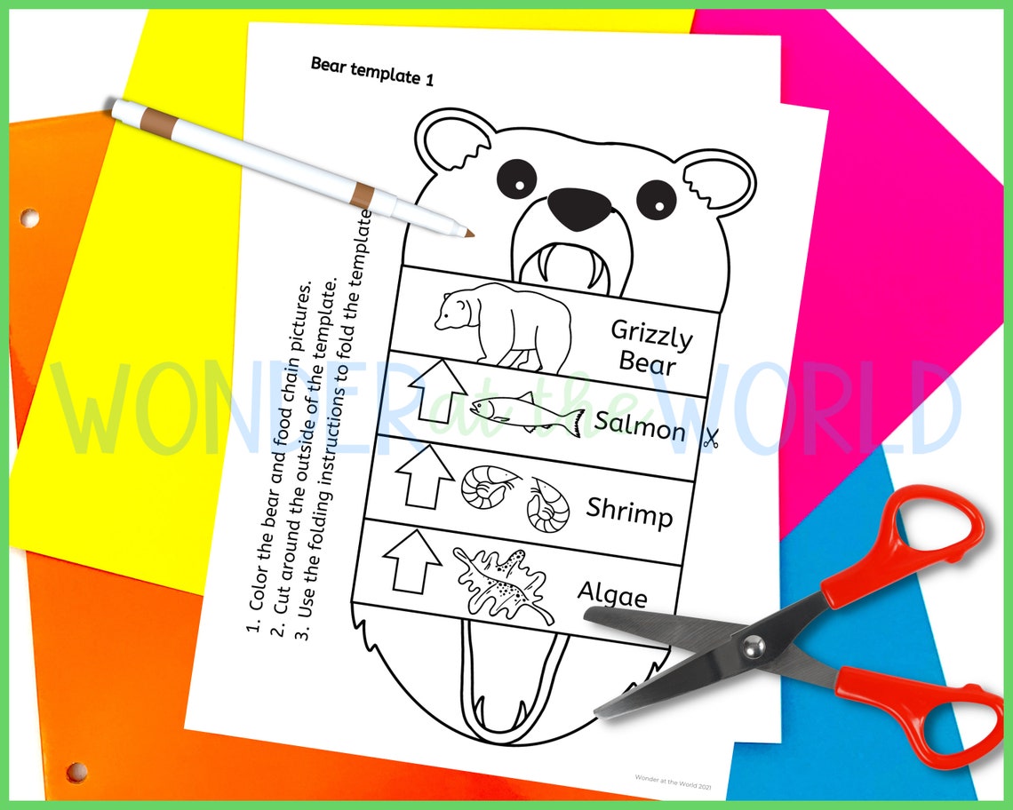 Make a Food Chain Foldable Activities PDF A4 and 8.5x11 Inch Science ...