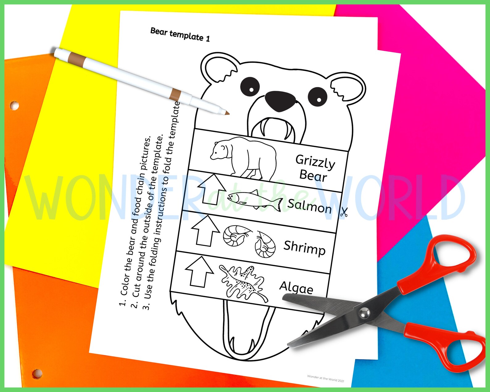 Make a Food Chain Foldable Activities PDF A4 and 8.5x11 Inch Science ...