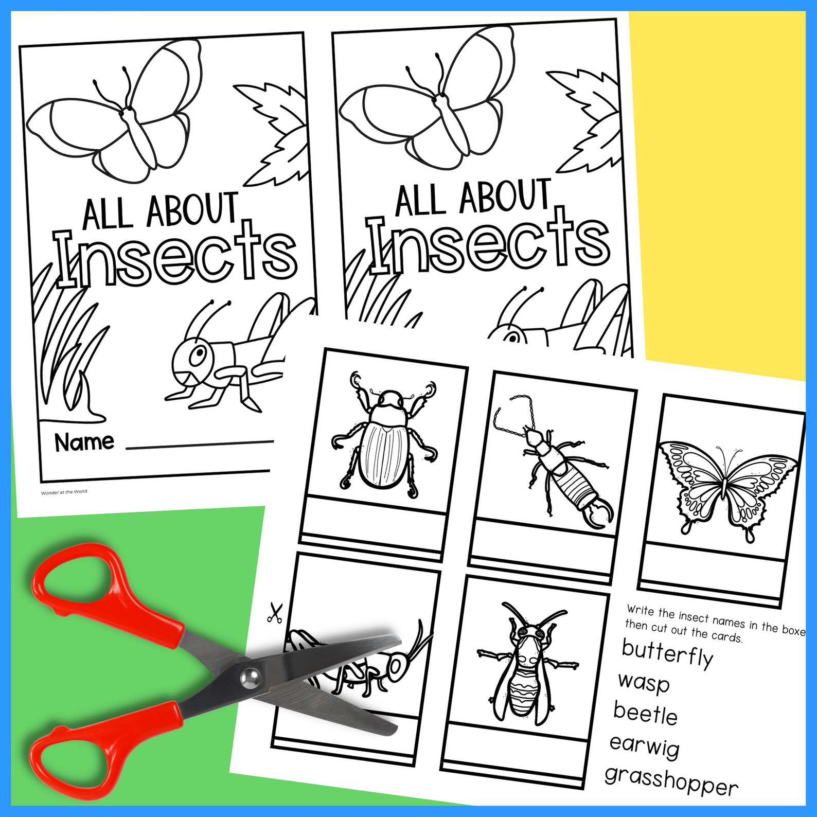Insect Bugs Foldable Printable Lapbook Templates Digital Download Kids ...