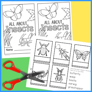 Insect Bugs Foldable Printable Lapbook Templates | Digital Download ...