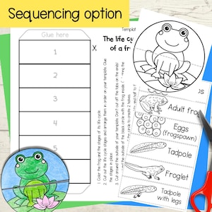 Life Cycle of a Frog Foldable Kids' Craft | A4 and 11x8.5 Inch ...