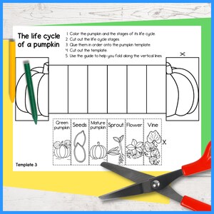 Fall Autumn Plant Life Cycles Foldable Science Activities | Apple ...