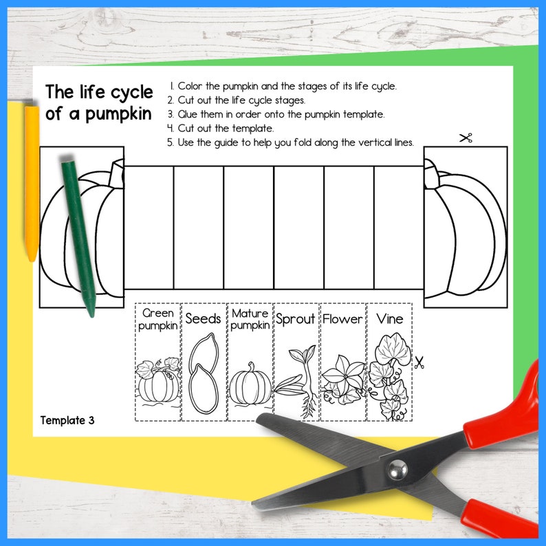 Fall Autumn Plant Life Cycles Foldable Science Activities - Etsy UK