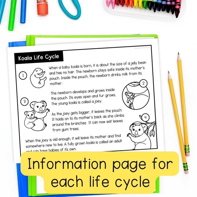 Australian Animals Mammals Life Cycle Foldout Science Learning ...