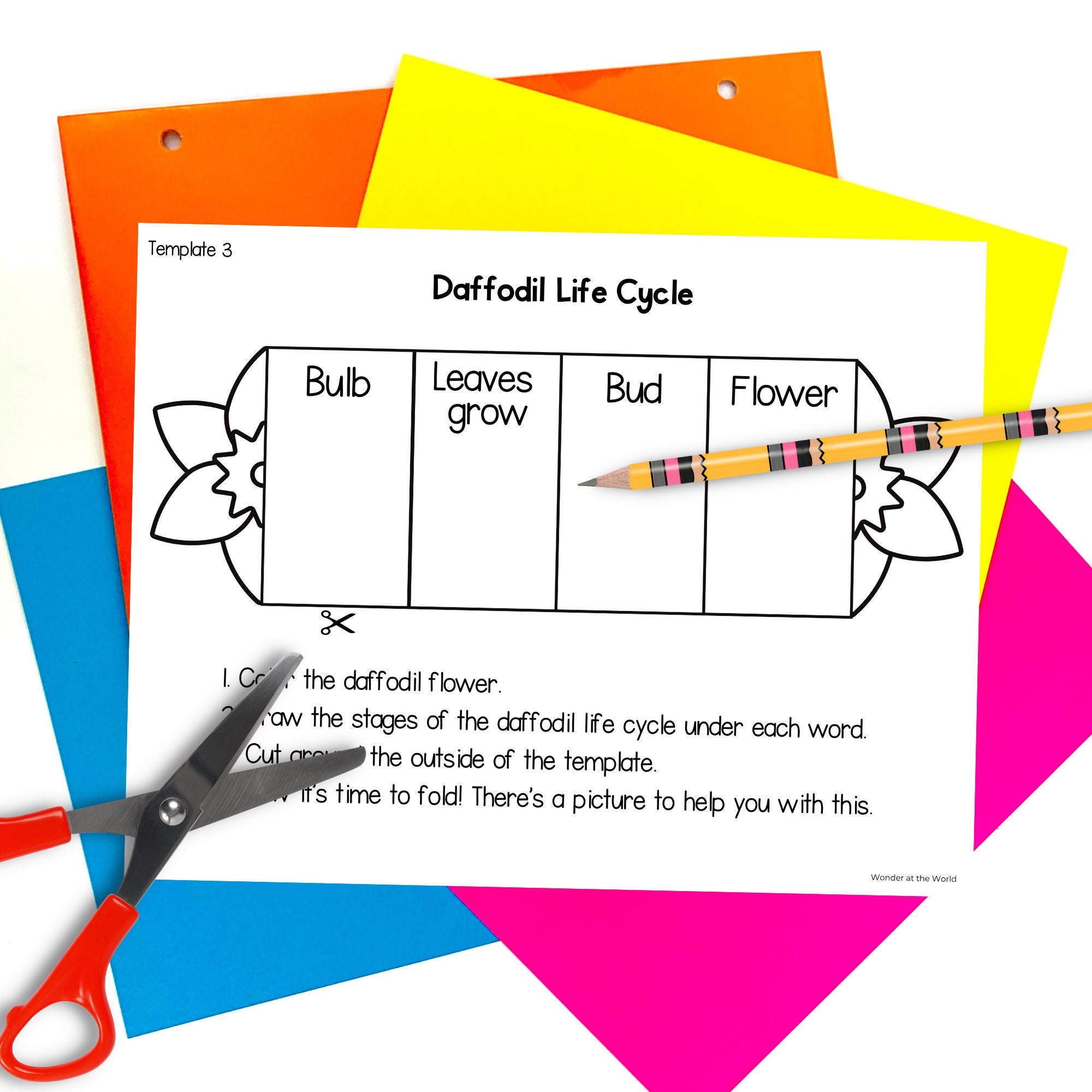Easter Life Cycles Foldable Sequencing Activities for Kids PDF Digital ...