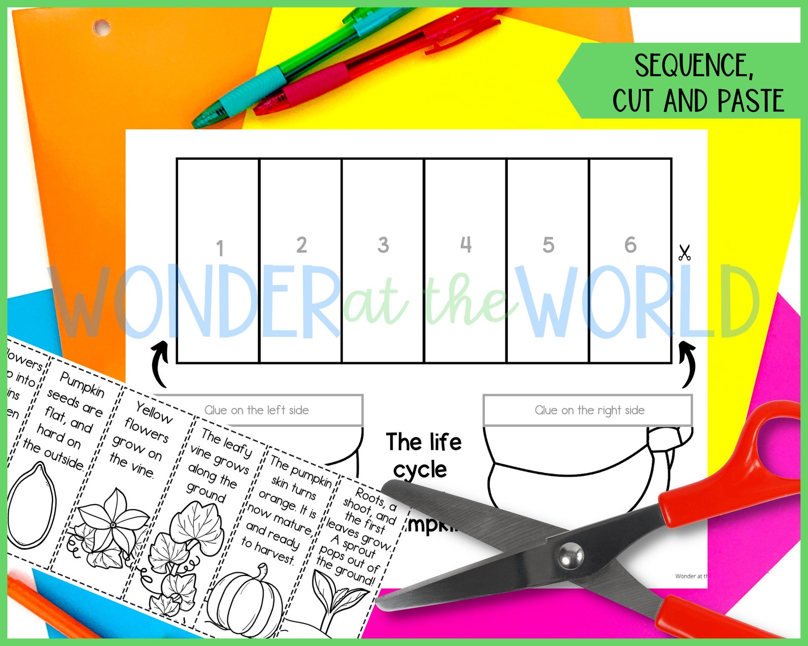 Life Cycle of a Pumpkin Foldable Activity for Kids A4 and - Etsy