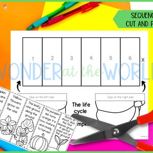 Life Cycle of a Pumpkin Foldable Activity for Kids A4 and 11x8.5 Inch ...