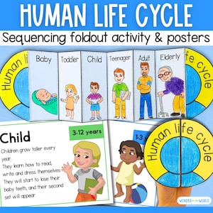 Human Life Cycle Foldable Sequencing Activity for Kids | Printable US ...