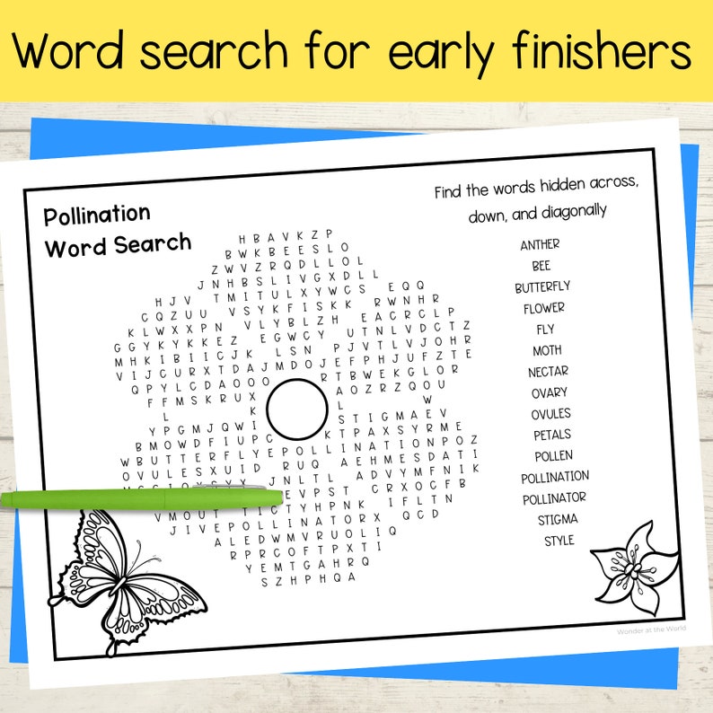 Stages of Insect Pollination Sequence and Fold Science Activity Cut ...