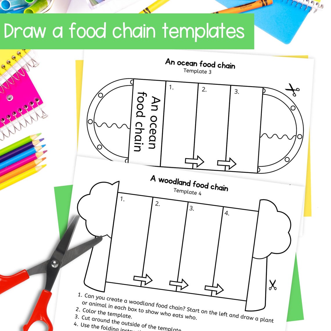 Make a Food Chain Foldable Activities PDF | A4 and 8.5x11 Inch ...