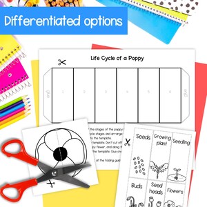 Poppy Life Cycle Foldable Sequencing Activity Cut and Paste Plant ...