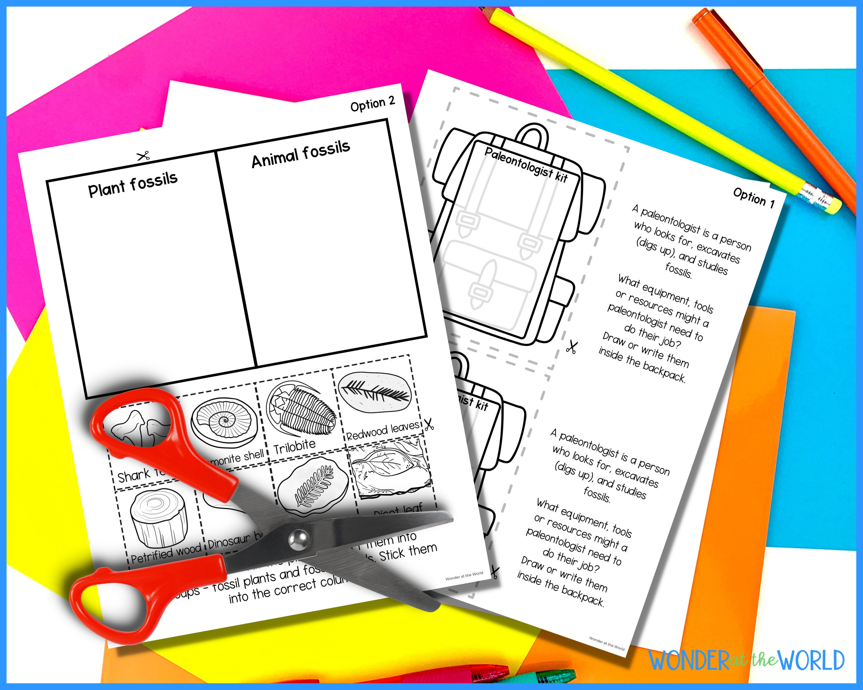 Fossils Lapbook Activity Printable Templates Earth Science - Etsy Canada
