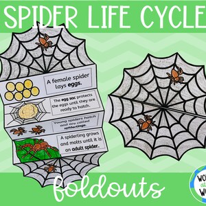 Life Cycle of a Spider Foldable Kids' Craft A4 and - Etsy Canada