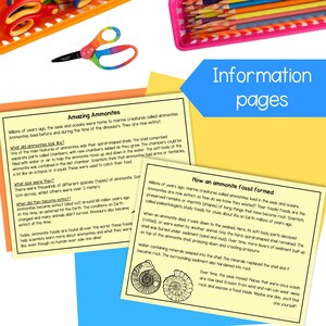 How a Fossil is Formed Printable Craft Activity and Sequencing Cards ...