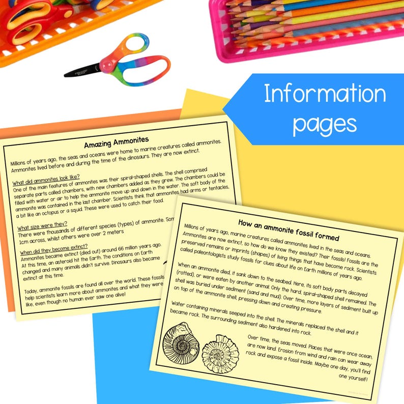 How a Fossil is Formed Printable Craft Activity and Sequencing Cards PDF for Earth Science Third ...