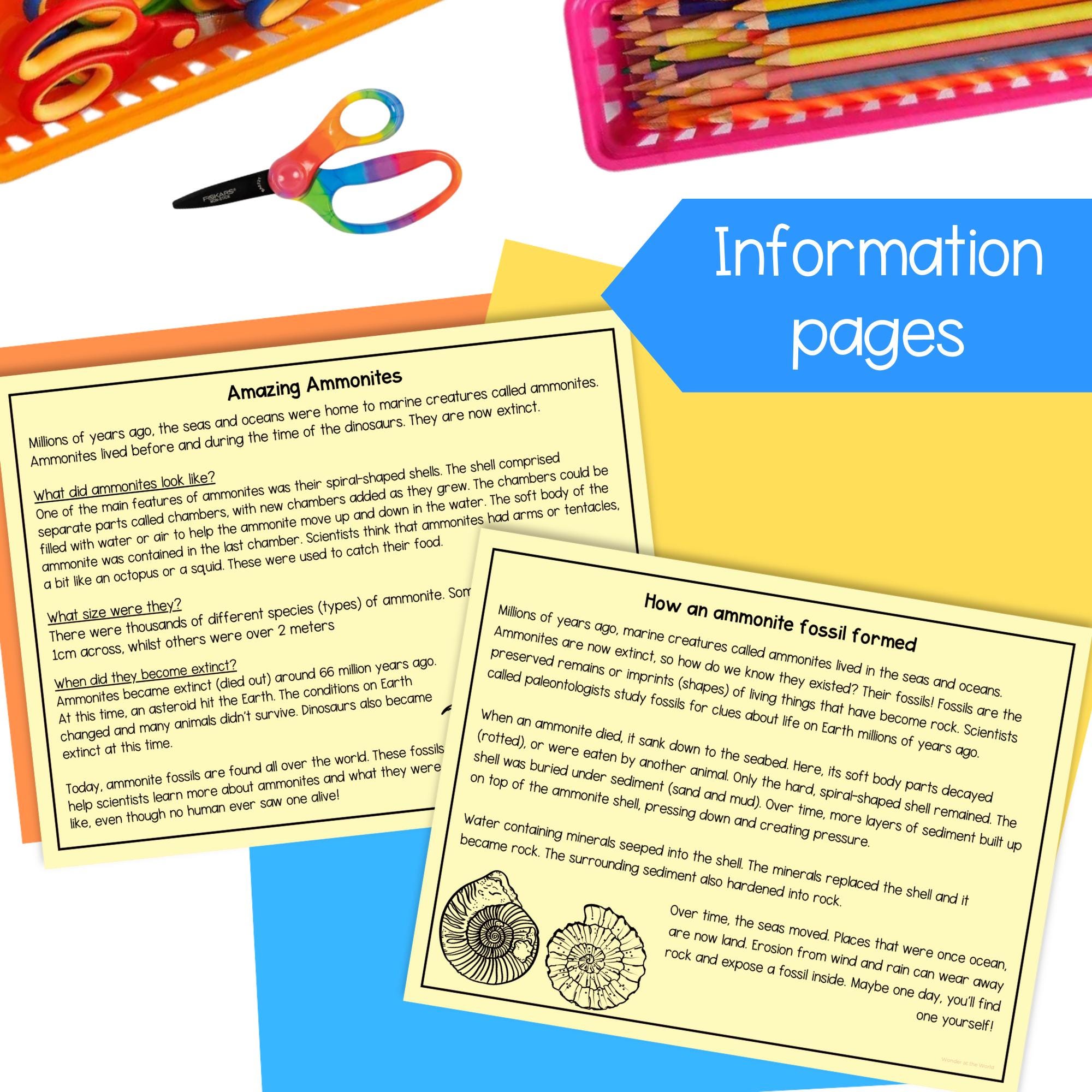 How a Fossil is Formed Printable Craft Activity and Sequencing Cards ...