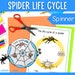Life Cycle of a Spider Spinner Wheel Science Craft Cut and Paste ...