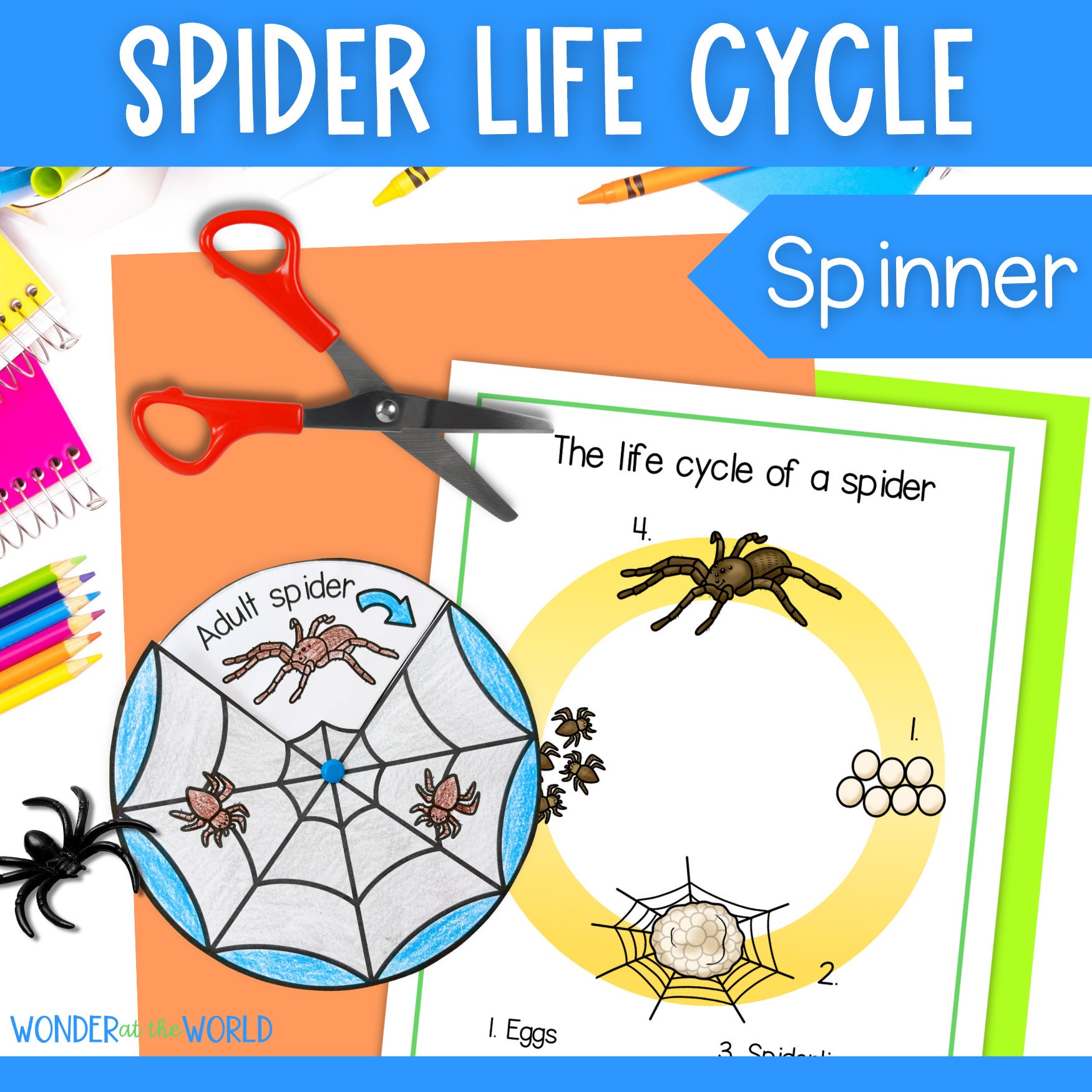 Life Cycle of a Spider Spinner Wheel Science Craft Cut and Paste ...