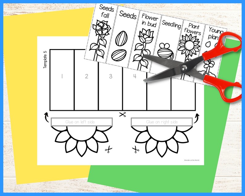 Plants Life Cycles Foldable Science Activities Apple Pumpkin Sunflower ...
