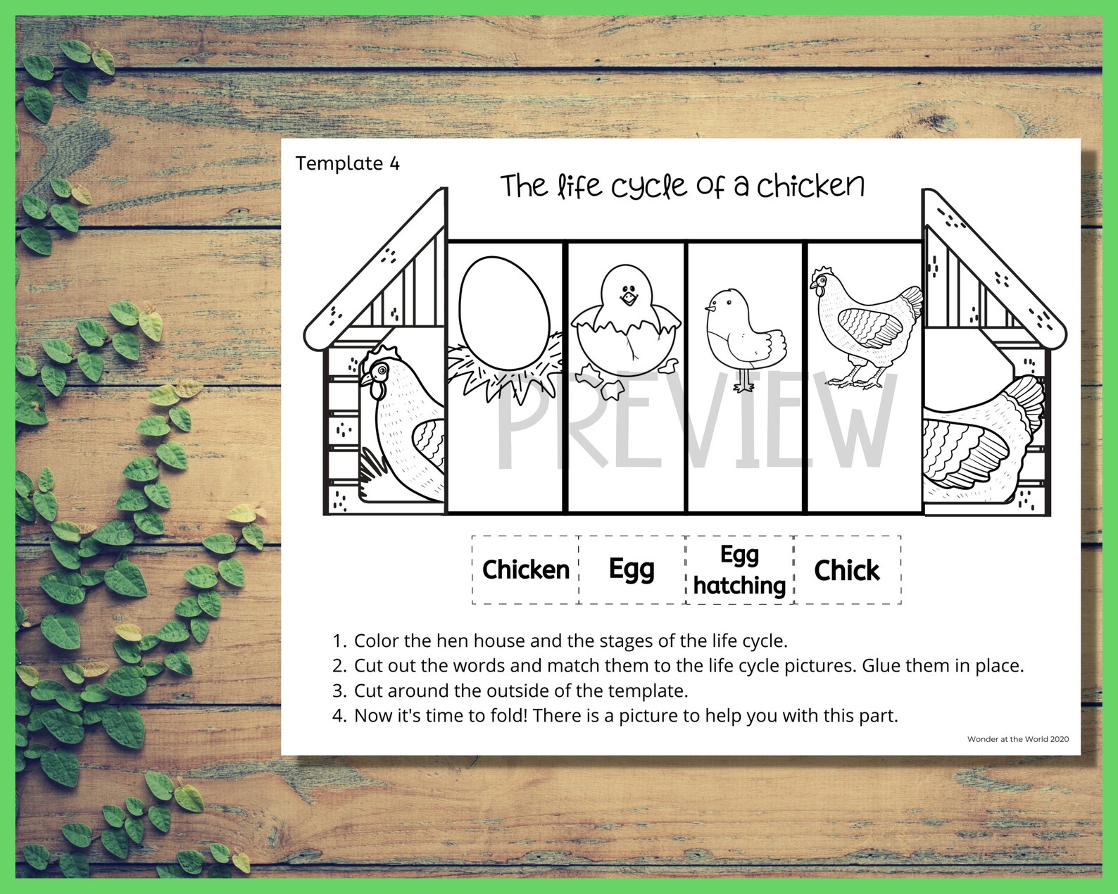 Life Cycle of a Chicken Foldable Kids' Craft A4 and | Etsy UK