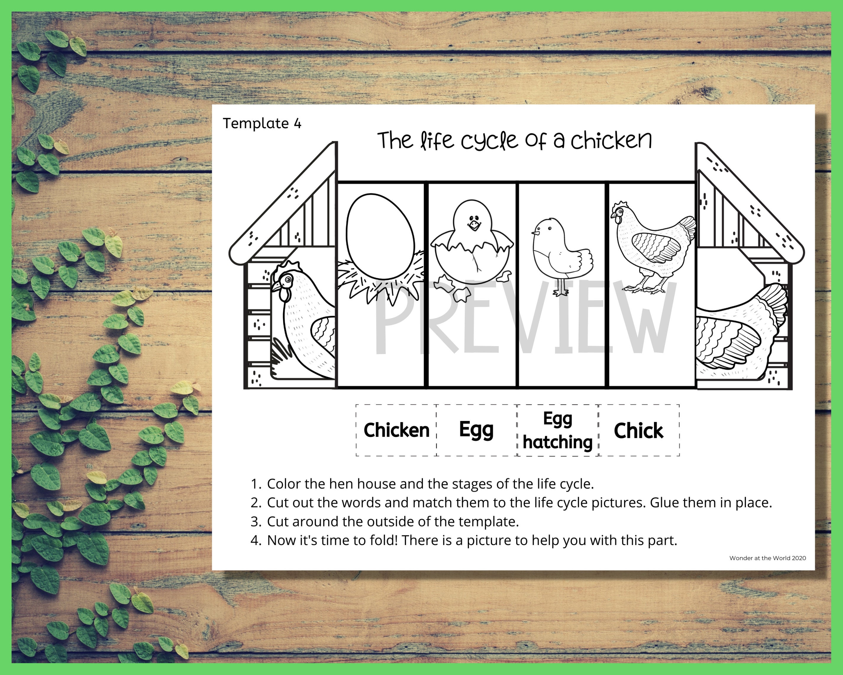 Life Cycle of a Chicken Foldable Kids' Craft A4 and | Etsy UK