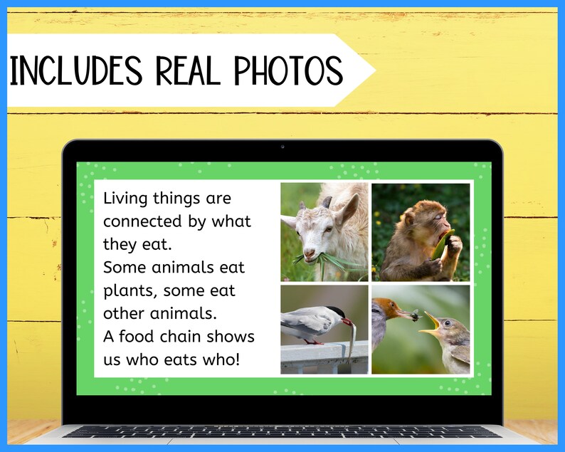 Food Chains in Different Habitats Google Slides Presentation for ...