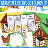 Chicken Life Cycle - Montessori 3 Part Cards - Etsy