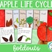 Life Cycle of a Mallard Duck Foldable Sequencing Activity for Kids US ...