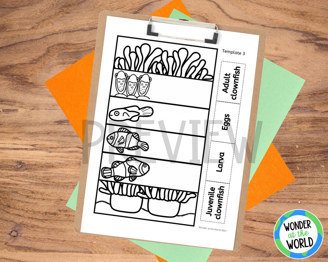 Life Cycle of a Clownfish Foldable Kids' Craft A4 and - Etsy