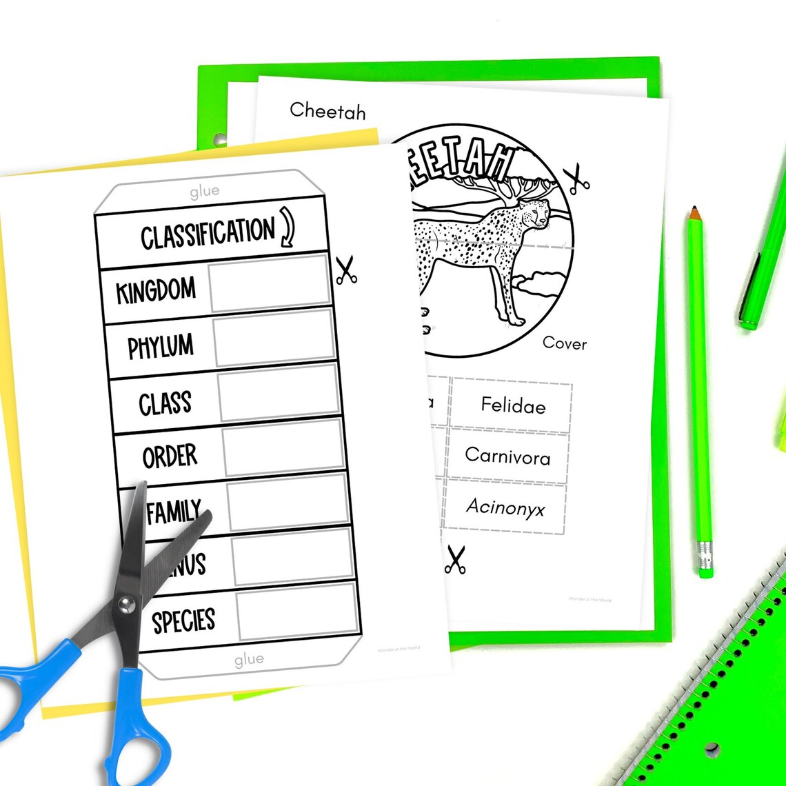 Animal Classification Taxonomy Research Cut and Paste Biology Activity ...