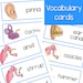 Parts of the Eye and Ear and How They Work Sequencing and Matching ...
