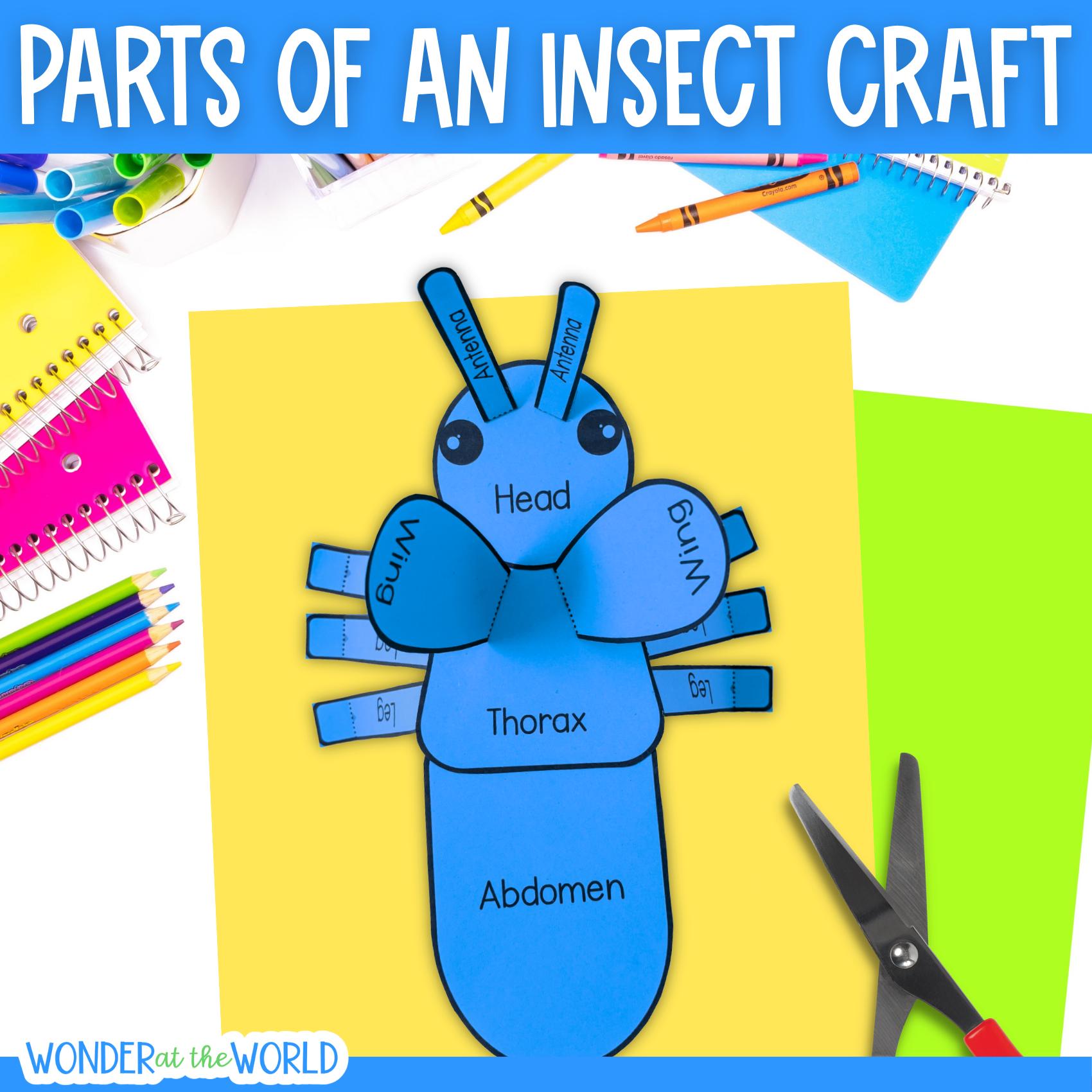 Body Parts of an Insect Build a 3D Bug Science Craft for Kids PDF - Etsy