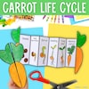 Chicken Life Cycle - Montessori 3 Part Cards - Etsy