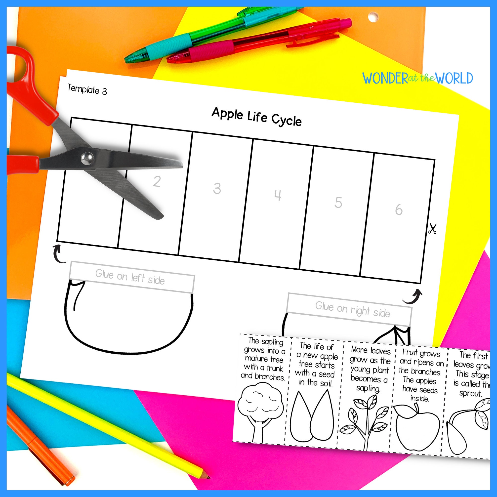 Fall Autumn Plant Life Cycles Foldable Science Activities - Etsy UK