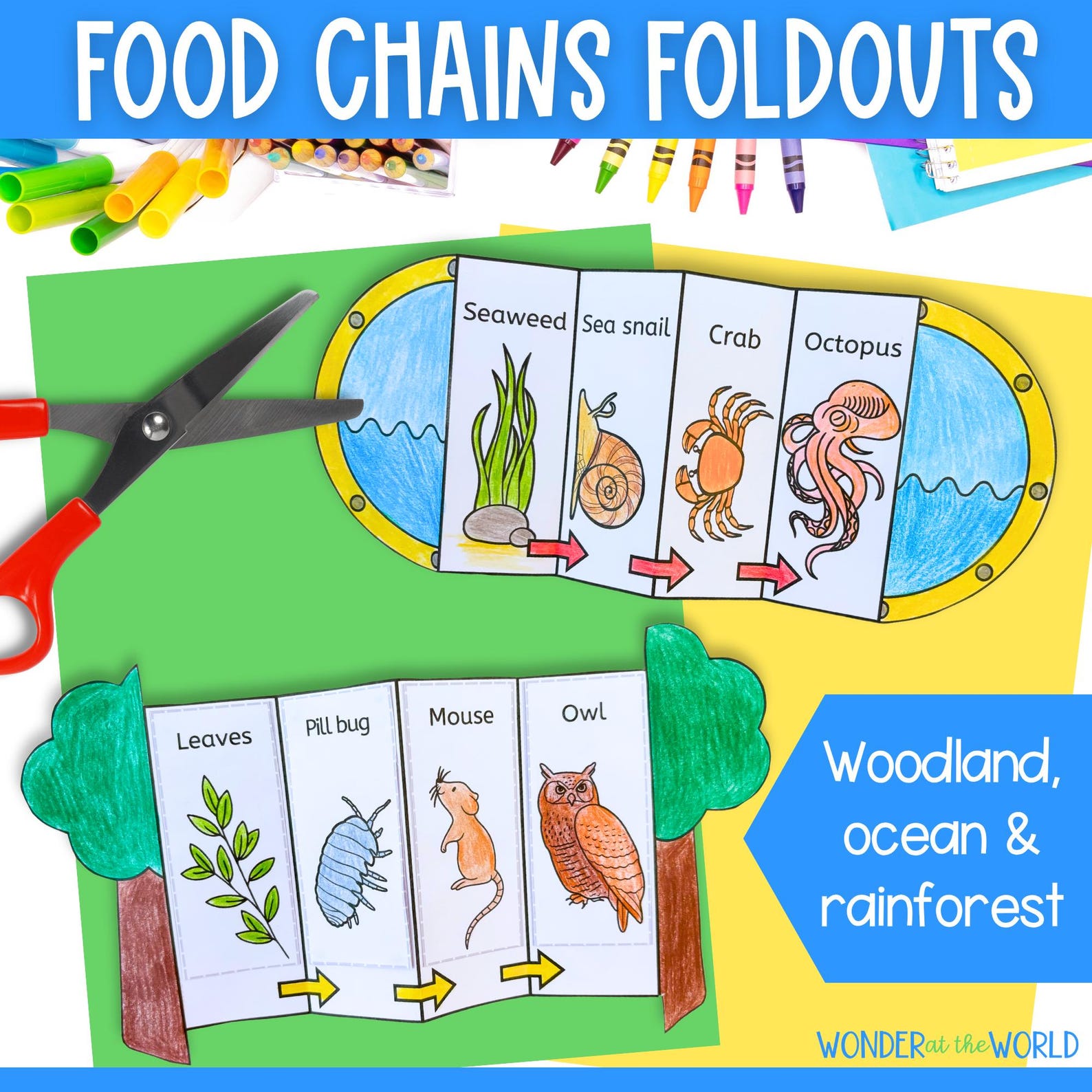 Food Chains Foldable Activity for Kids | A4 and 11x8.5 Inch | Digital ...