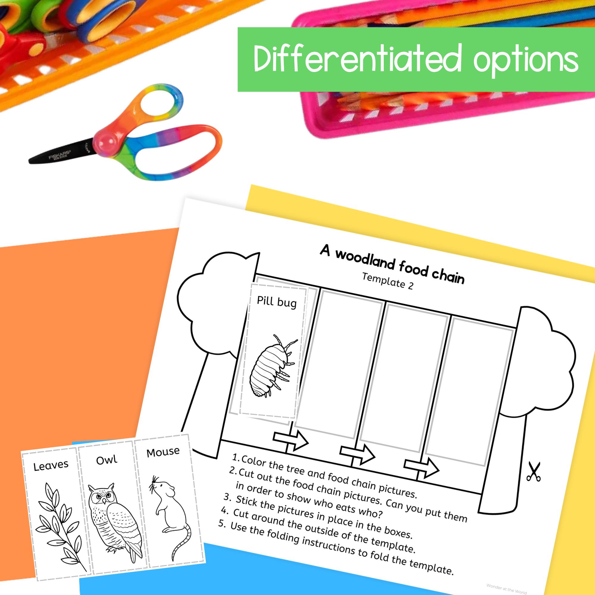 Food Chains Foldable Activity for Kids A4 and 11x8.5 Inch Digital ...