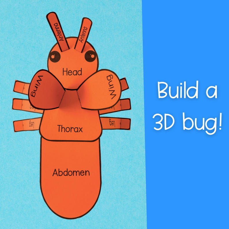 Body Parts of an Insect Build a 3D Bug Science Craft for Kids PDF - Etsy