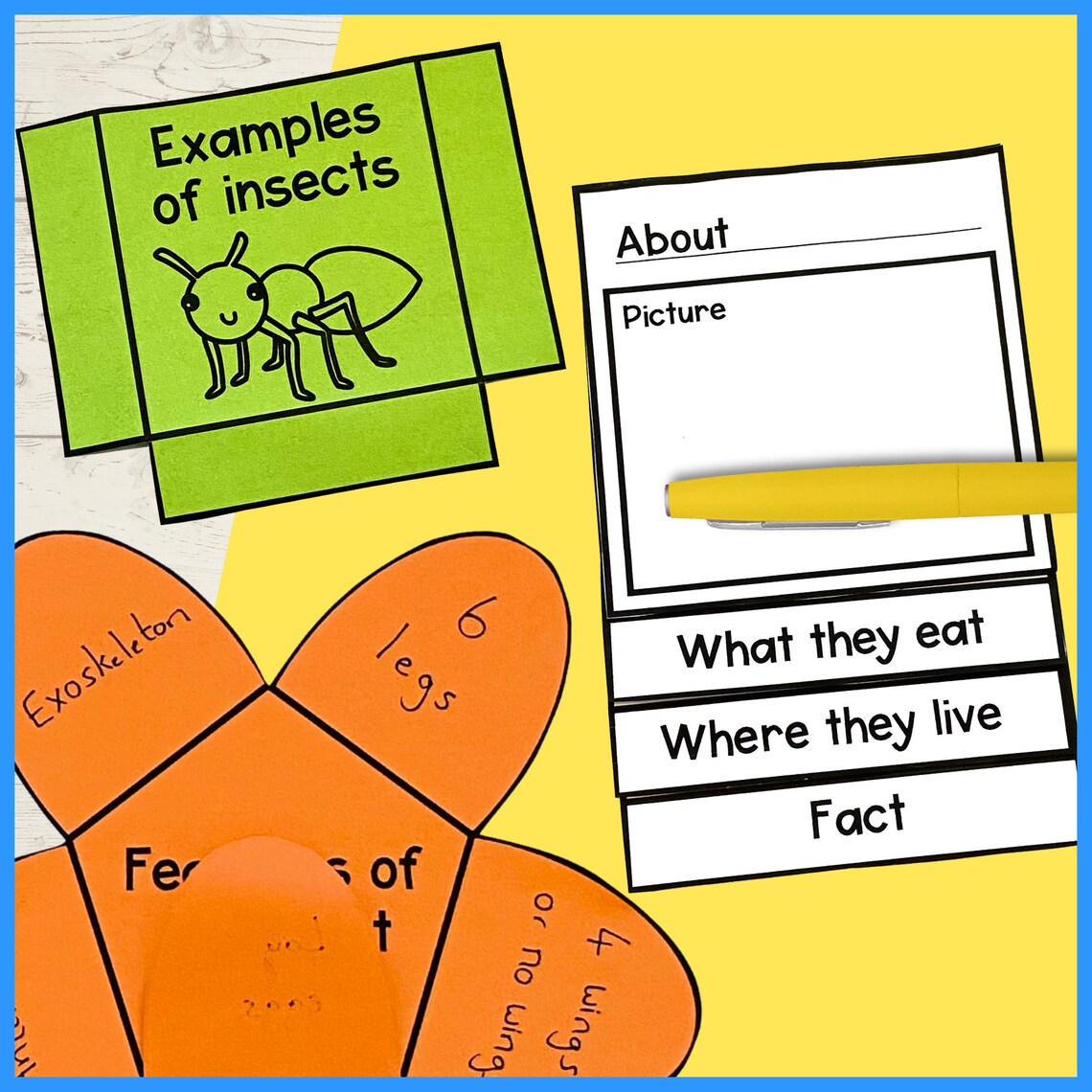 Insect Bugs Foldable Printable Lapbook Templates Digital Download Kids ...
