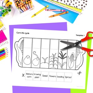 Fall Autumn Plant Life Cycles Foldable Science Activities | Apple ...