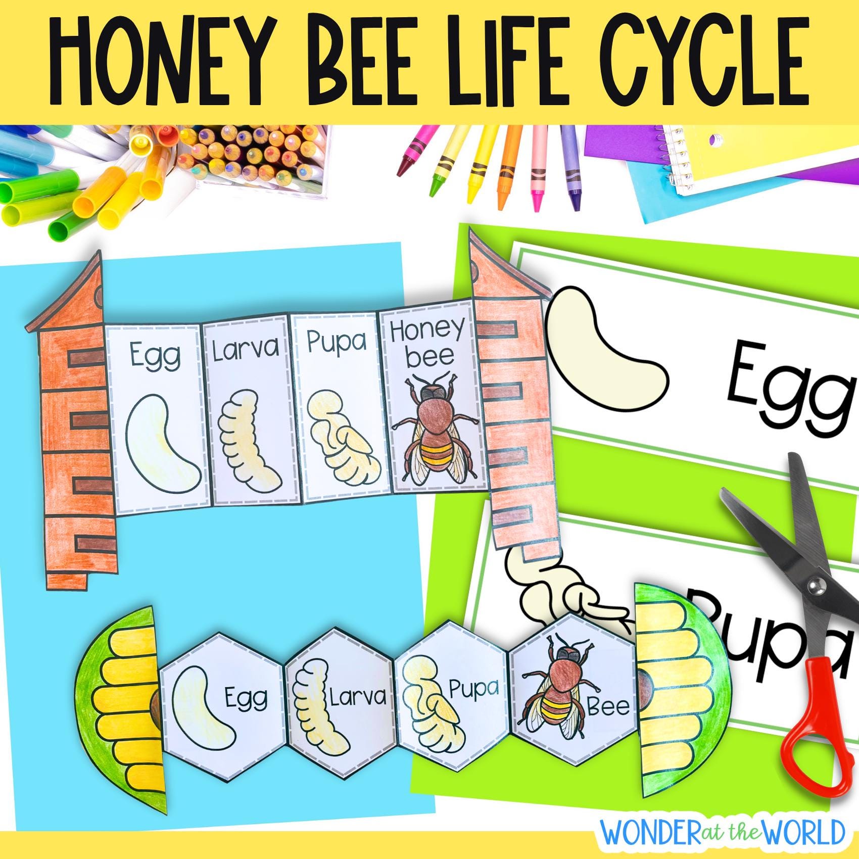 Life Cycle of Honey Bee Foldable Kids' Science Craft | A4 and 11x8.5 ...