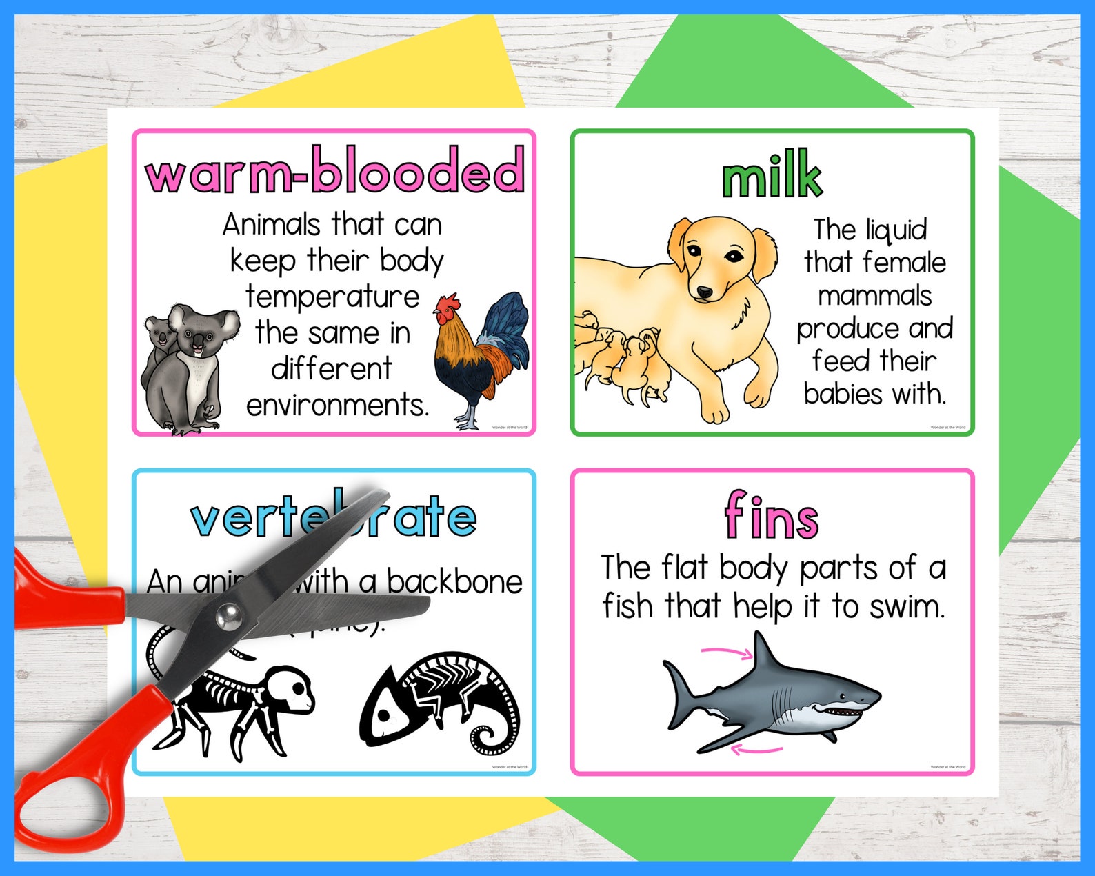 Vertebrate Animal Classification Science Vocabulary Word Wall | UK and ...