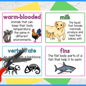 Vertebrate Animal Classification Science Vocabulary Word Wall | UK and ...
