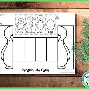 Life Cycle of a Penguin Foldable Kids' Craft A4 and - Etsy