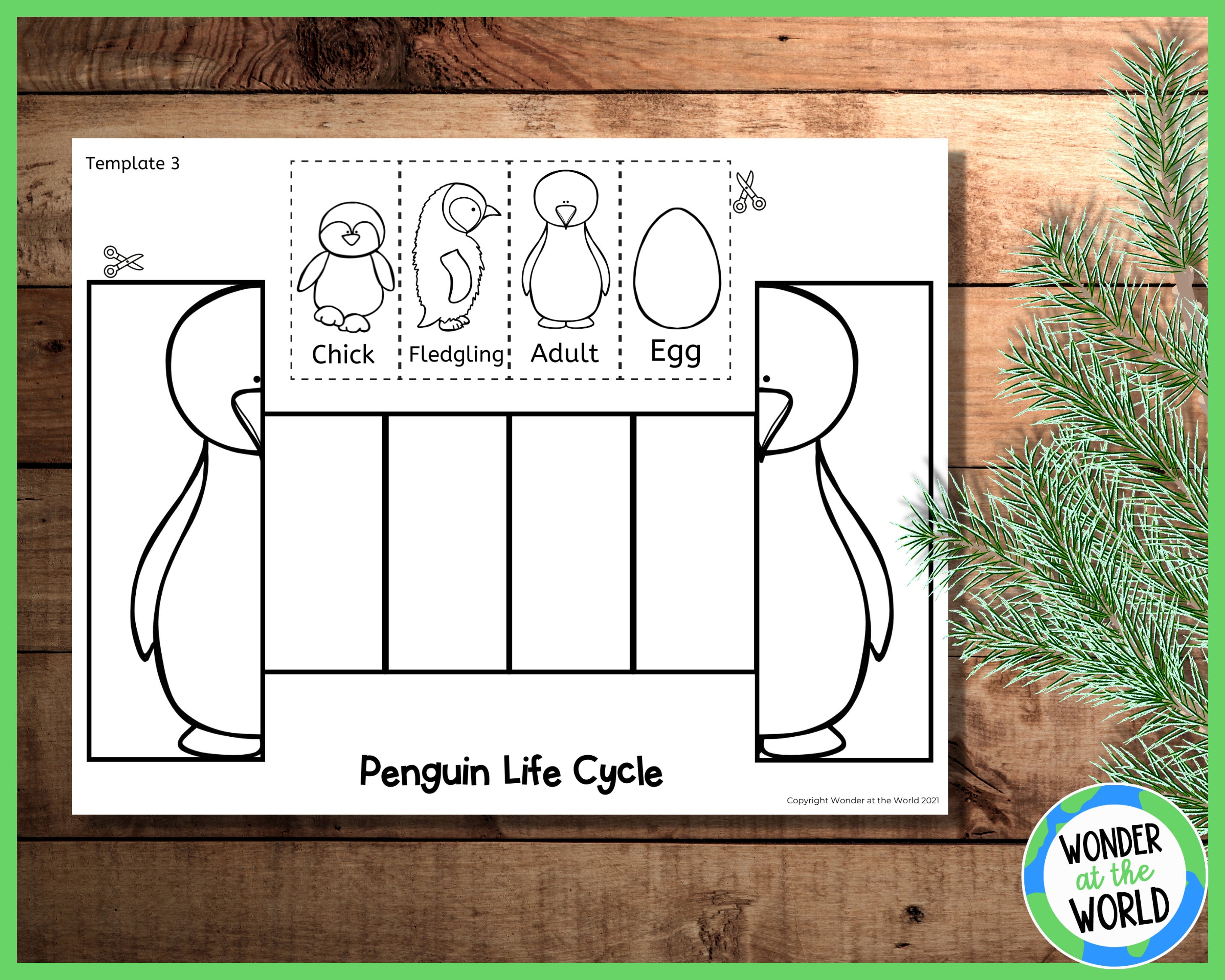 Life Cycle of a Penguin Foldable Kids' Craft A4 and - Etsy Australia