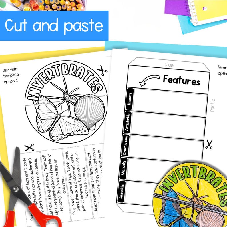 Invertebrates Classification Groups Cut and Paste Activities Match and ...