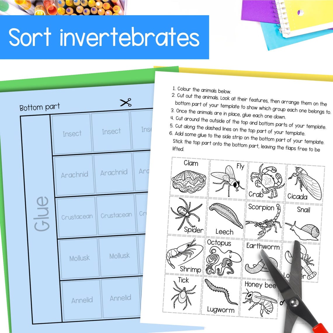 Invertebrates Classification Groups Cut and Paste Activities Match and ...
