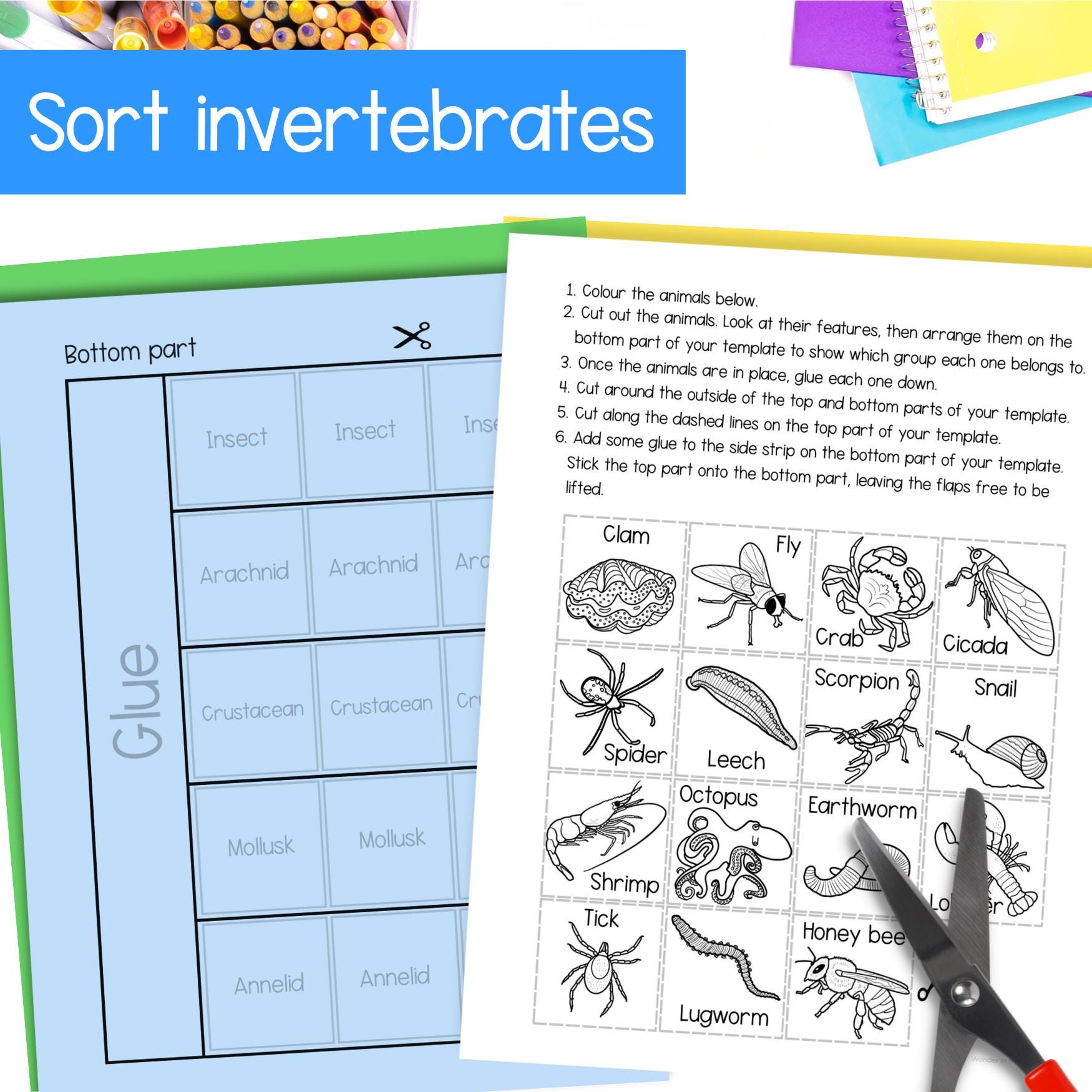 Invertebrates Classification Groups Cut and Paste Activities Match and ...